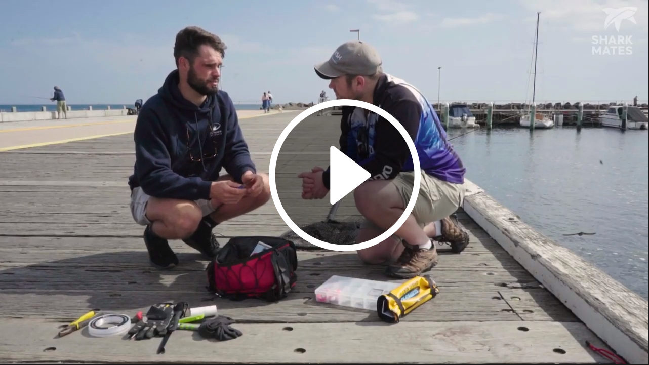 How to prepare yourself for catching sharks and rays - Sharkmates